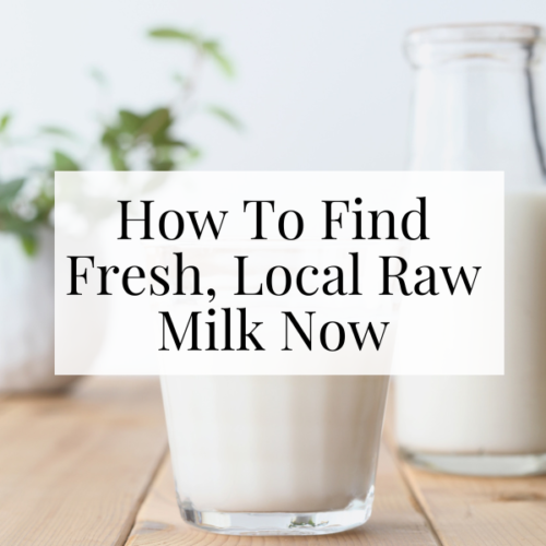 This is How To Find Fresh Local Raw Milk Now - Handmilked